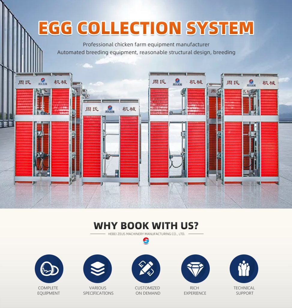 Elevator type fast egg collecting machine - Zeus